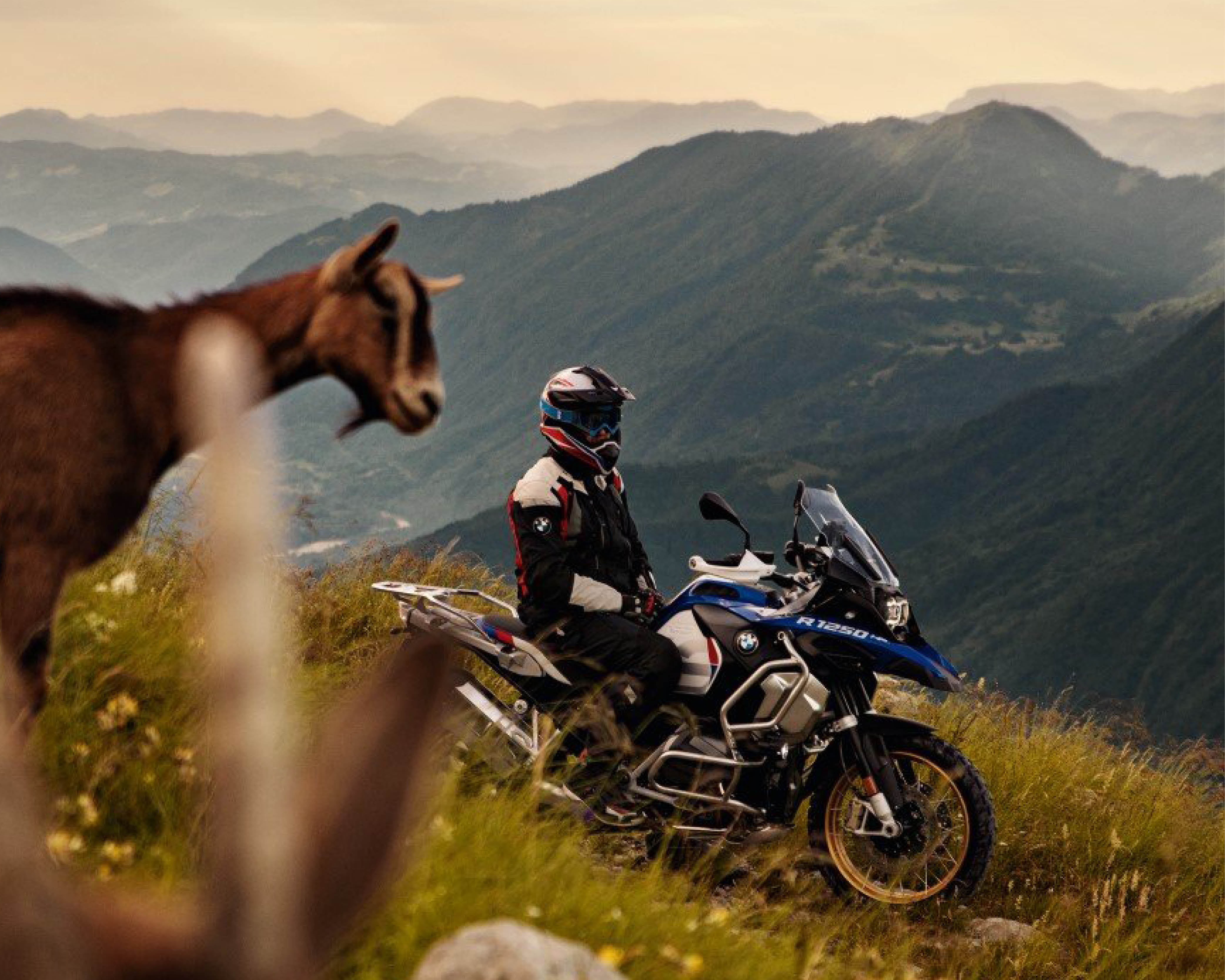 RENT A RIDE.|PANEL MOTOS